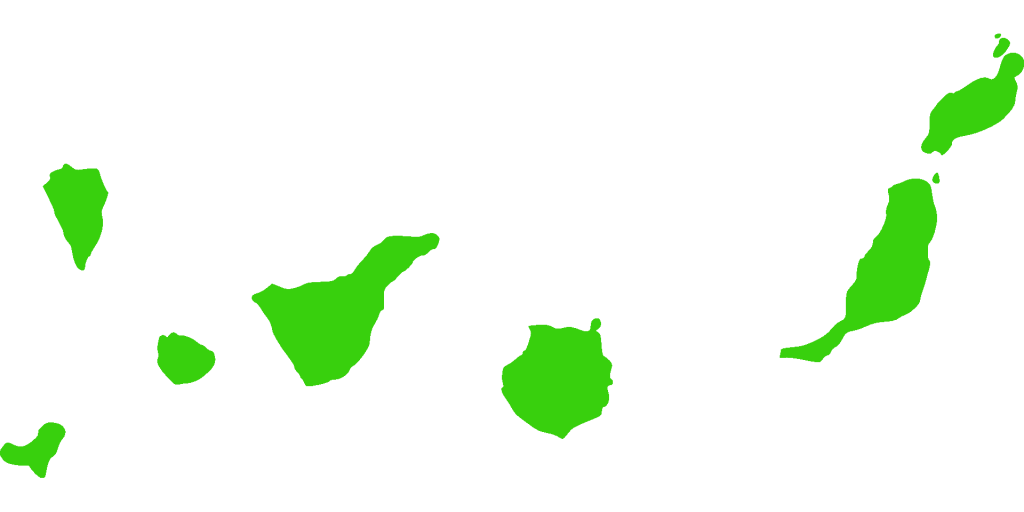 Hemionitis guanchica – Flora de Canarias